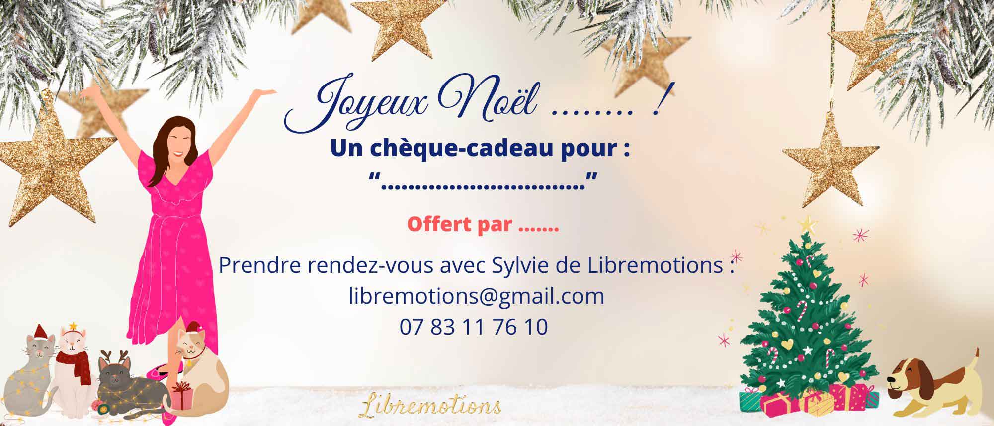 Les chèques cadeaux de Noël